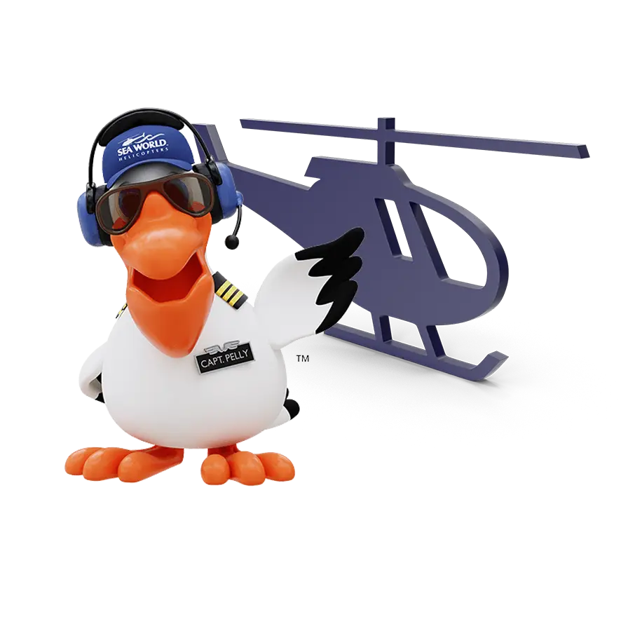 Captain Pelly’s Tips for an Unforgettable Helicopter Experience - Sea ...